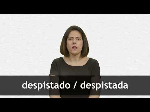 English Translation of “DESPISTADO” | Collins Spanish-English Dictionary