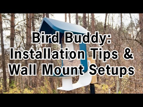 Tips for Setting Up the Bird Buddy and Mounting the Feeder Using the Wall Mount with the APS