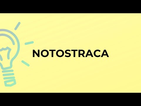 What is the meaning of the word NOTOSTRACA?