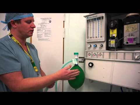 Bains Circuit - Rebreathing Circuit Latest Price, Manufacturers & Suppliers