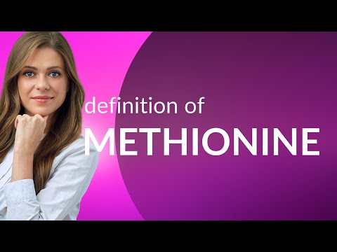 Methionine • what is METHIONINE meaning