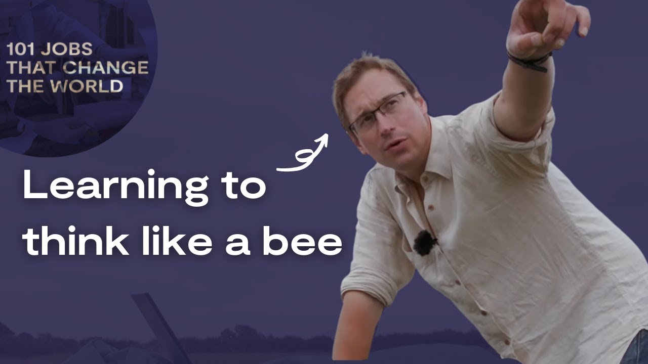 The behavioural ecologist studying how bees learn - 101 Jobs That Change the World (Ep 22)