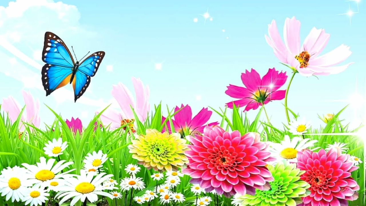Summer Season Wallpapers | Nature Most Beautiful Wallpapers @Nature Beautiful Wallpapers
