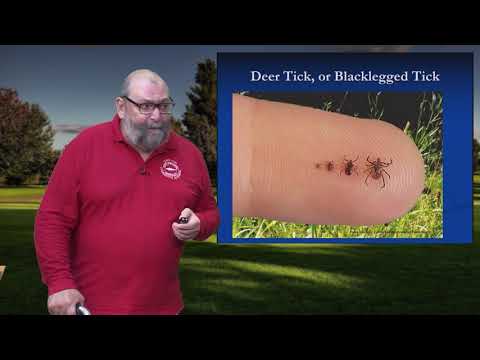 Tickology: Tick Identification and Ecology