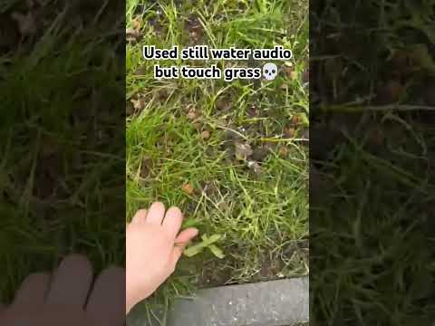 go touch some grass #memes cool
