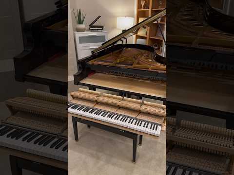 This piano belongs to a famous YouTuber…