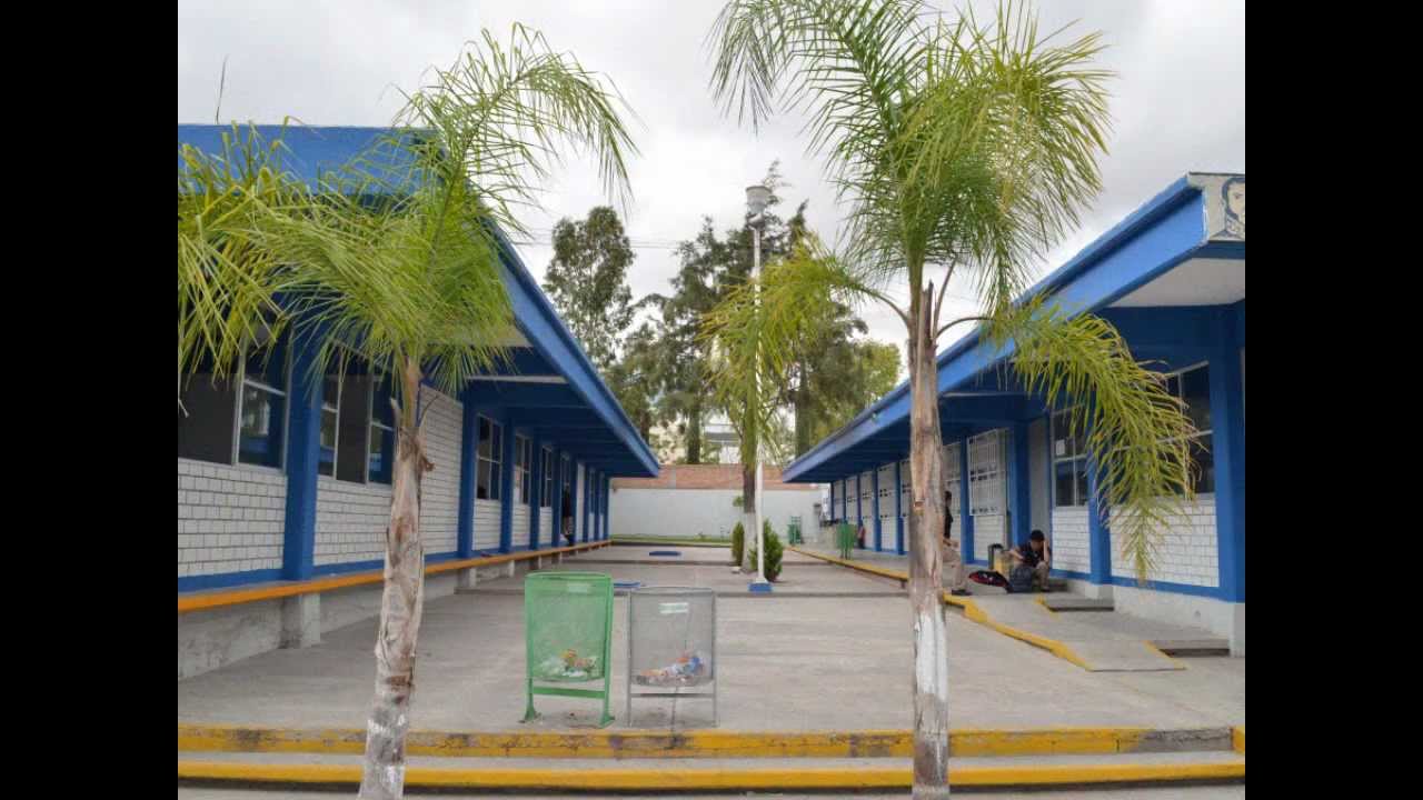 comercial cobach 26