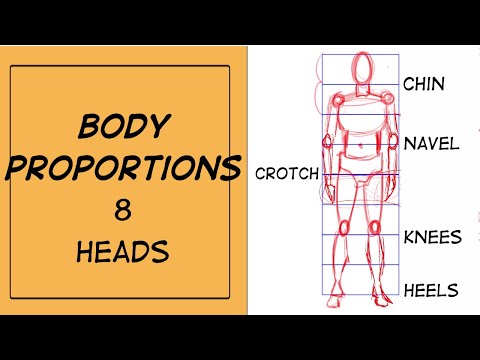 How to draw BODY PROPORTIONS correctly – SKETCHMAN BORIS