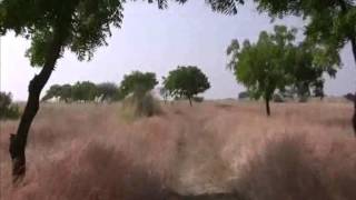 3 Best Tourist Attractions in Solapur, MH - Expert Recommendations