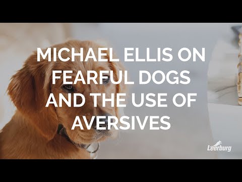 Michael Ellis on Fearful Dogs and the Use of Aversives