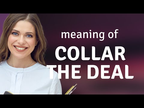 Collar the Deal: Mastering Business English Phrases
