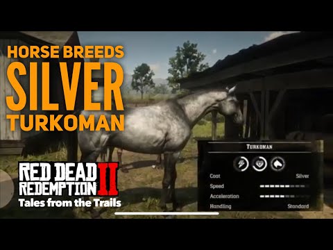 Steam Community :: Video :: Red Dead Redemption 2: Horse Breeds Silver ...