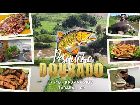 Vídeos do Tarabai | Tudo sobre o Tarabai Sao Paulo