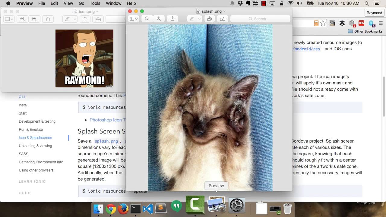 Demo of the ionic resources command