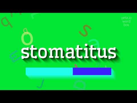 How to say "stomatitus"! (High Quality Voices)