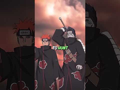 How did the Akatsuki survive so long?