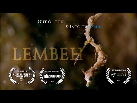 Chapter #11: LEMBEH. Out of the Black & Into the Blue | NA-GH5 | Nauticam Housing | Keldan Lights