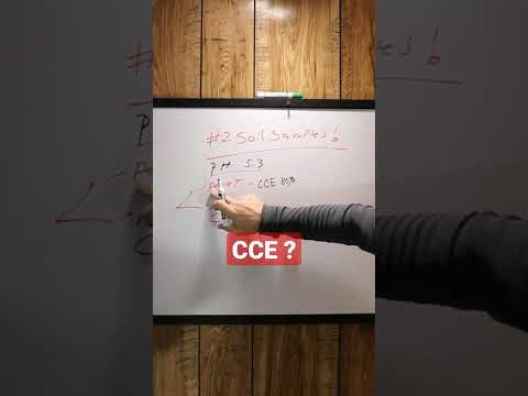 Limes CCE Explained #shorts #lime #cce #Citysticker #educate #subscribe