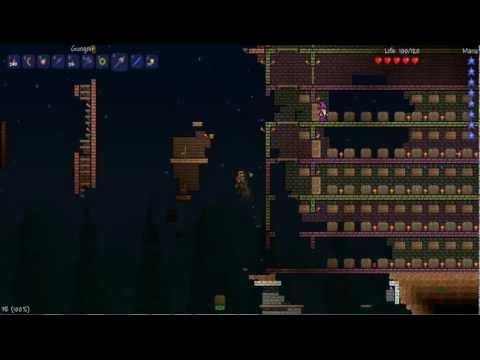 Steam Community :: Video :: Terraria - DRAGON - What!