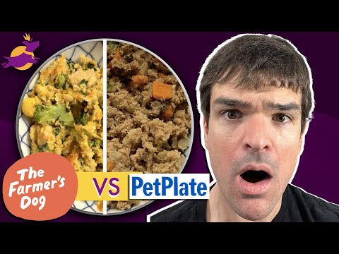I ATE BOTH: PetPlate vs Farmer's Dog Food Comparison