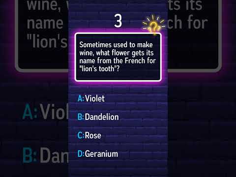 What flower, named from the French for lion's tooth, is sometimes used in wine-making?
