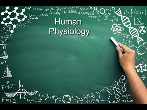 How to Ace AP Biology: Human Physiology