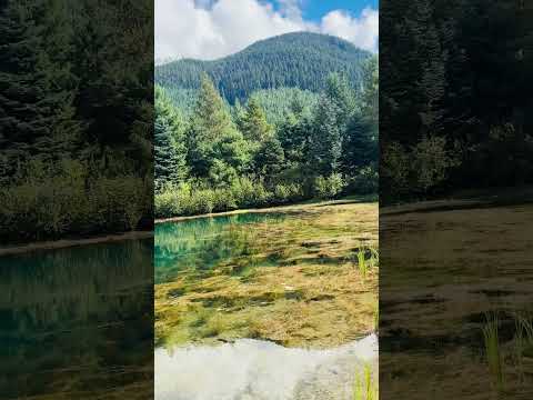 #mount #baker #snoqualmie #seattle #washington