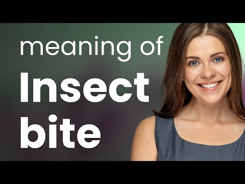 Understanding "Insect Bite": A Simple Guide for English Learners