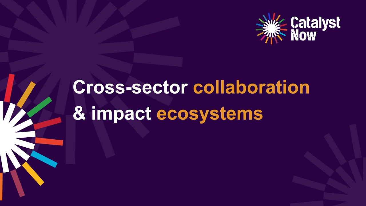 Cross-Sector Collaboration & Impact Ecosystems