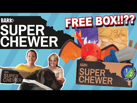 Super Chewer BARK BOX REVIEW 2021 | FREE BOX!