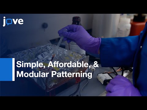 Simple, Affordable, & Modular Patterning of Cells Using DNA l Protocol Preview