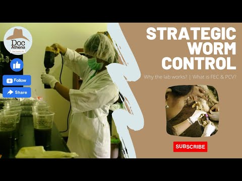 Strategic Worm Control: do you really need to deworm?