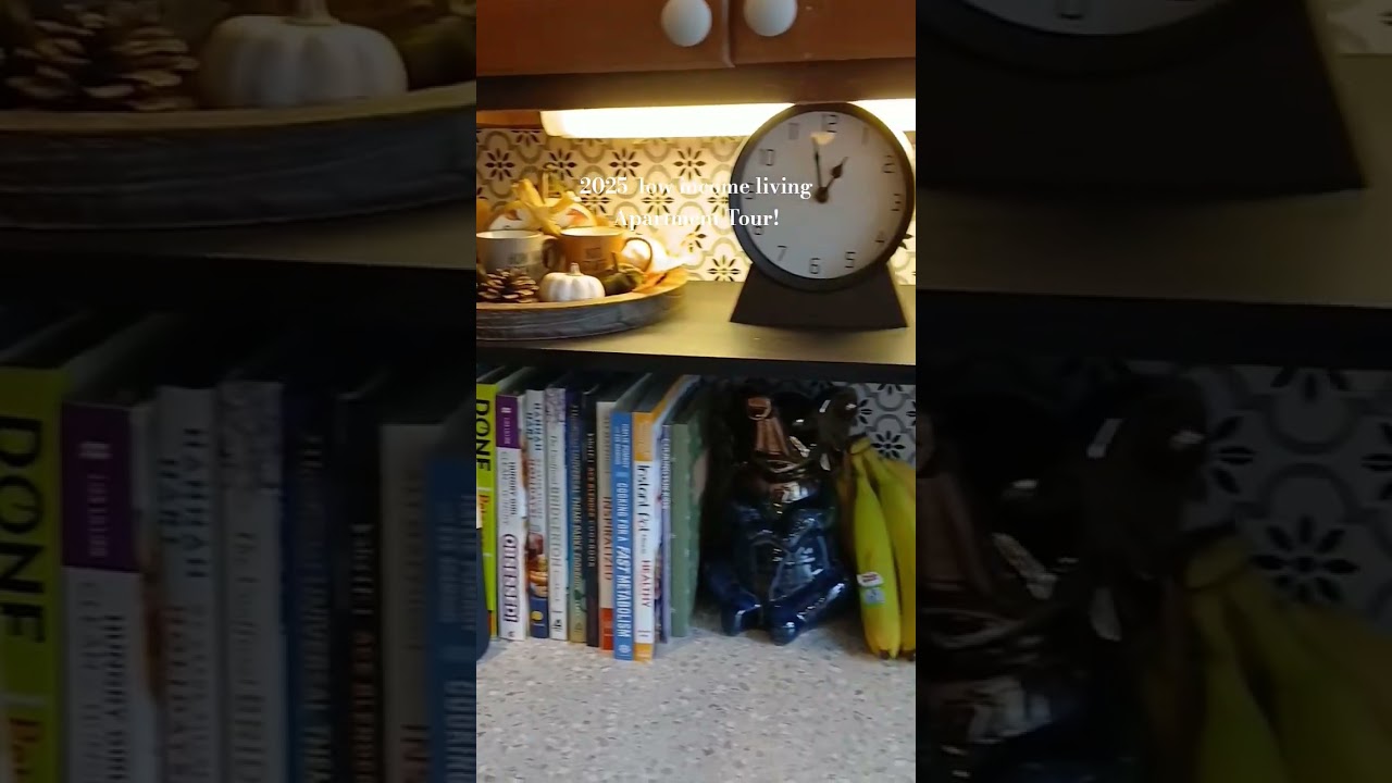 Low income living Apartment Tour! #vlog #inspiration #lowincome #lowincomeliving #apartment #home