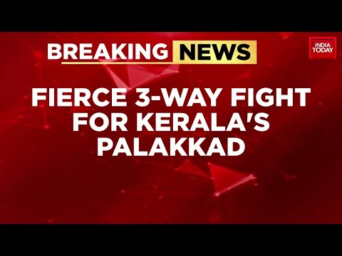 Three-Way Fight in Palakkad By-Election: UDF, LDF, BJP Battle for Votes | Kerala By-Polls