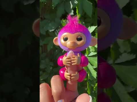 Introducing...our #FingerlingsFamily! 🐵✨🩷💙