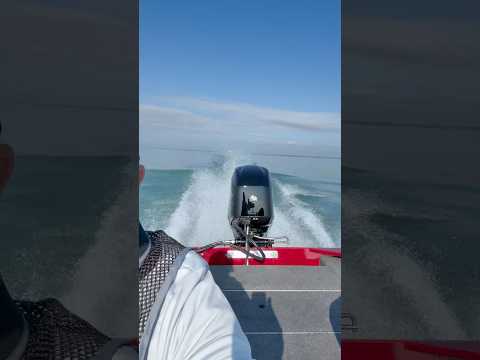 💥Bass Tracker Classic XL FULL THROTTLE Mercury 50hp🎣💥#fishing #bassfishing #boat #lake