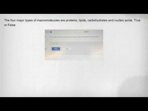 The four major types of macromolecules are proteins, lipids, carbohydrates and nucleic acids. True o