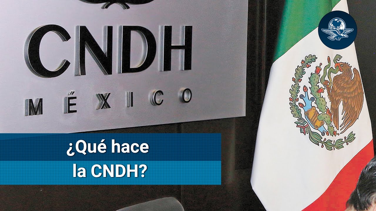 ¿Qué es y qué funciones realiza la CNDH?
