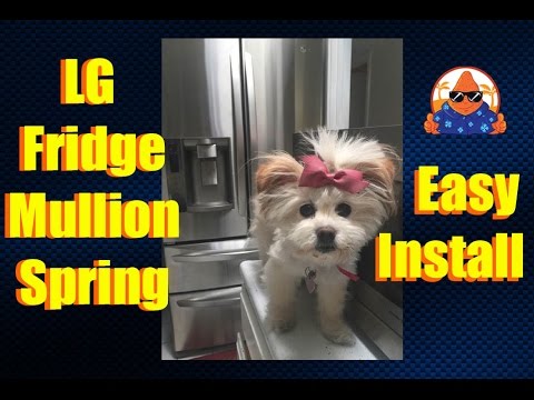 Door Springs at Best Price in India