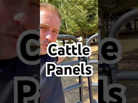 What are cattle panels?