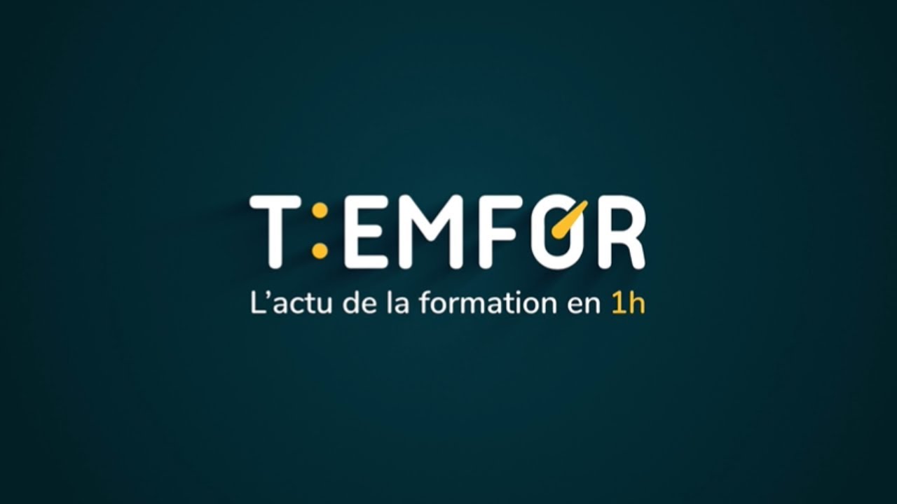 T:EMFOR : Les Groupements d’employeurs et les GEIQ - replay