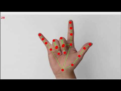GitHub - victorlvl47/HandTrackingDemo: A hand tracking demo with a webcam