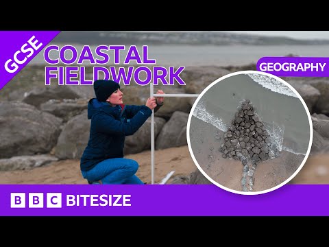 GCSE Geography | Undertaking Coastal Fieldwork