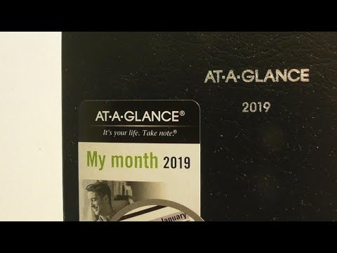 AT-A-GLANCE 2019 Monthly Planner DayMinder FOR PURSE POCKET REVIEW