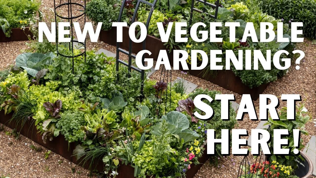 Vegetable Gardening for Beginners