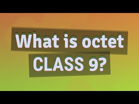 What is octet Class 9?