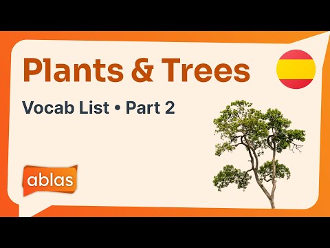 Plants & Trees | Spanish Vocabulary List (Part 2)