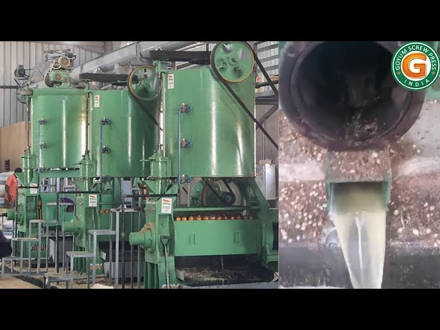 Oil Extruder Machine - Fully Automatic Edible Oil Extruder Machine ...