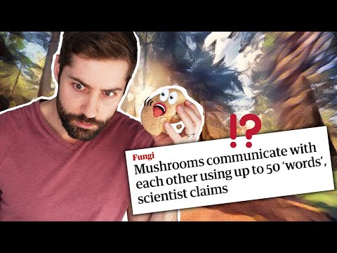 Apparently Mushrooms Can Talk and Have A Vocabulary Of About 50 Words (New Research)