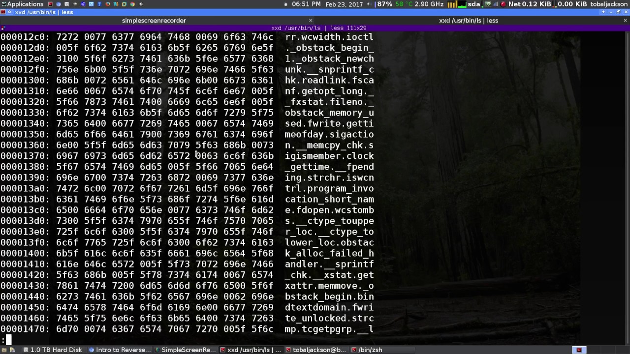 Introduction To Reverse Engineering With Radare2